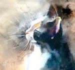 The Perfect Creative Personality | davidjrogersftw